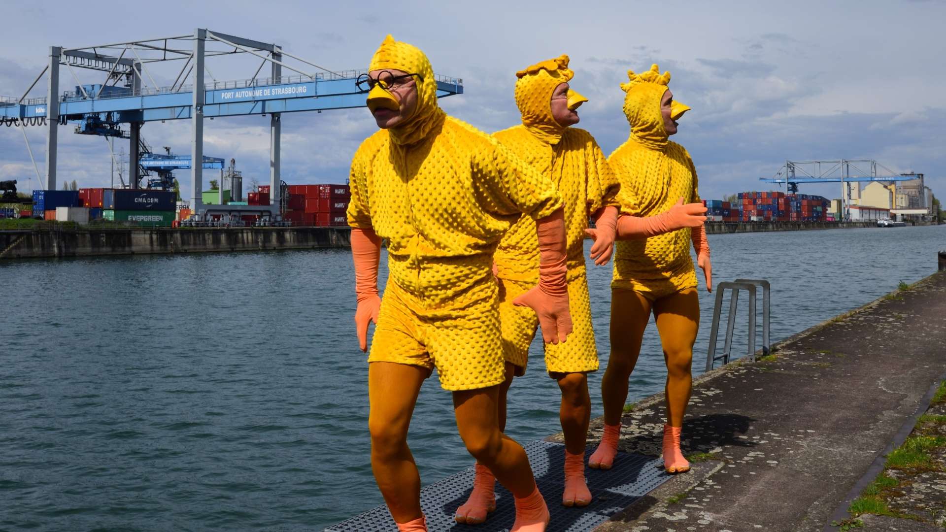 Un pour tous, tous poussin ! | Humour des notes